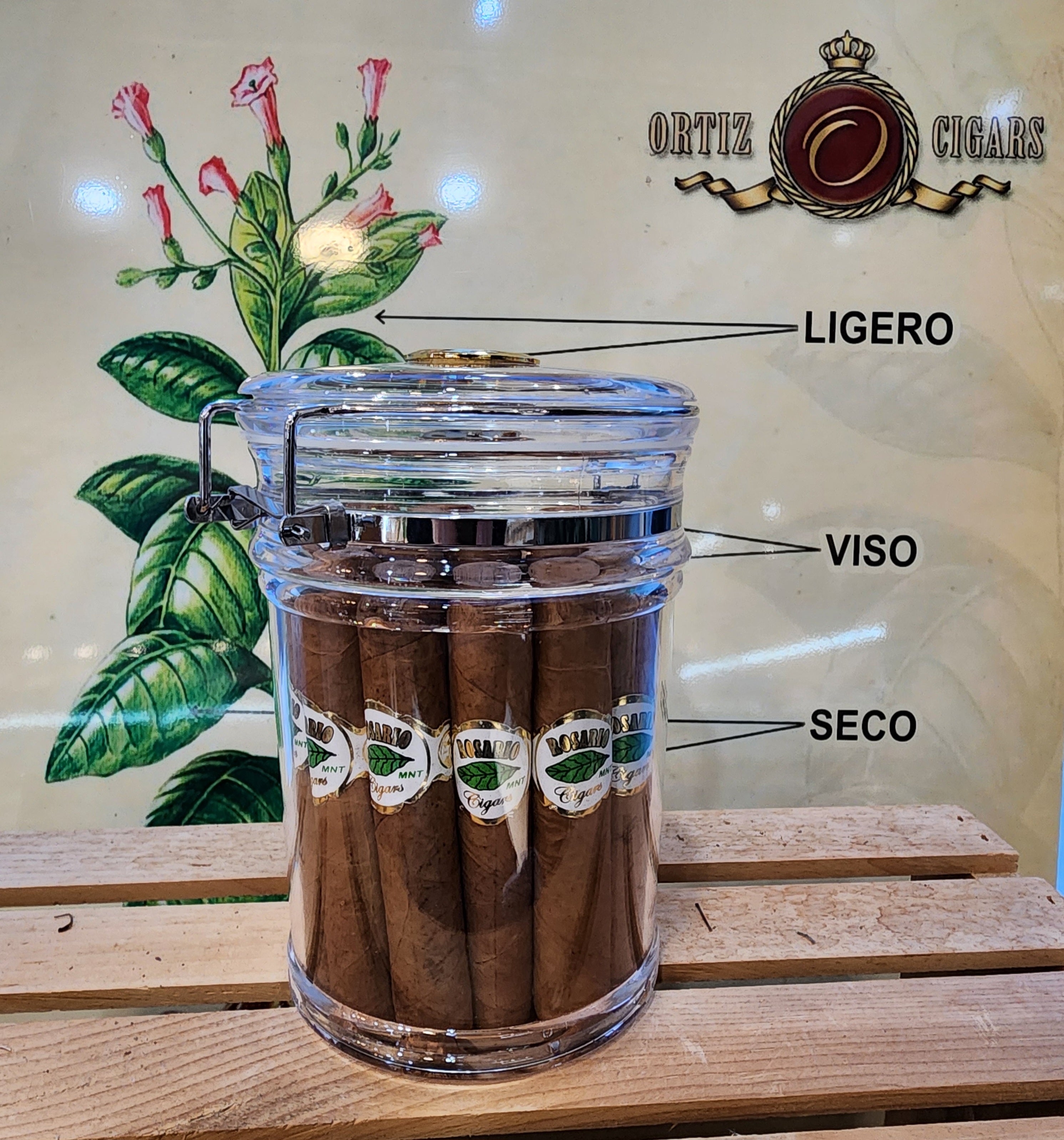 ROSARIO MINT BUNDLE OF 25 – Ortiz Cigars